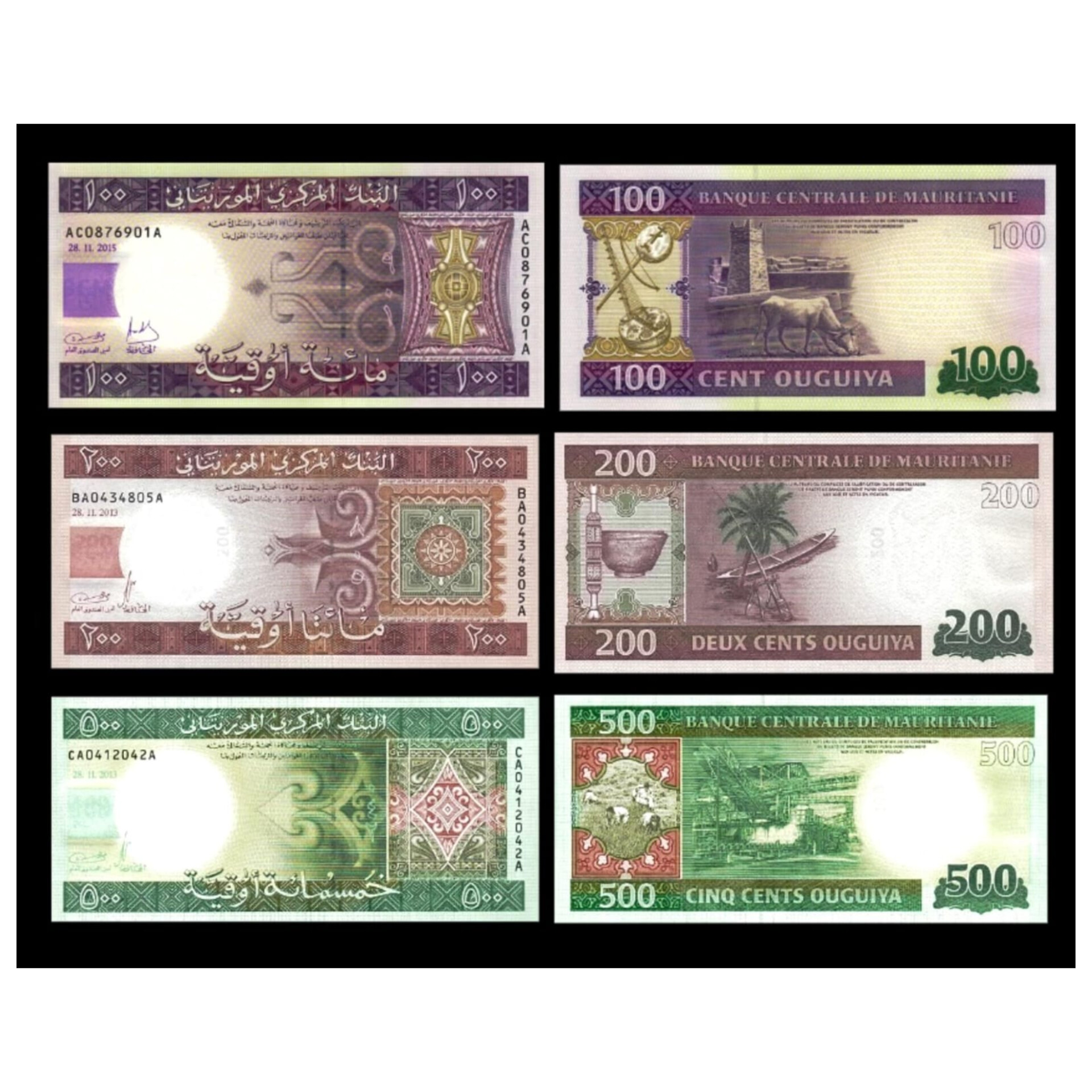 Bank Notes of Currency