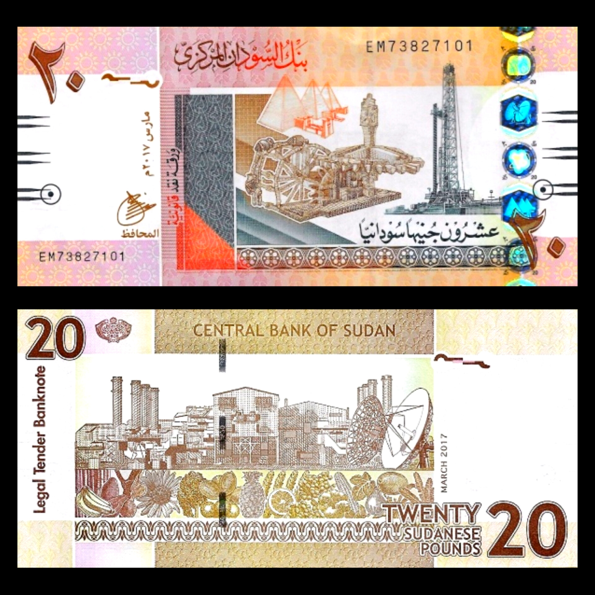 Bank Notes of Currency