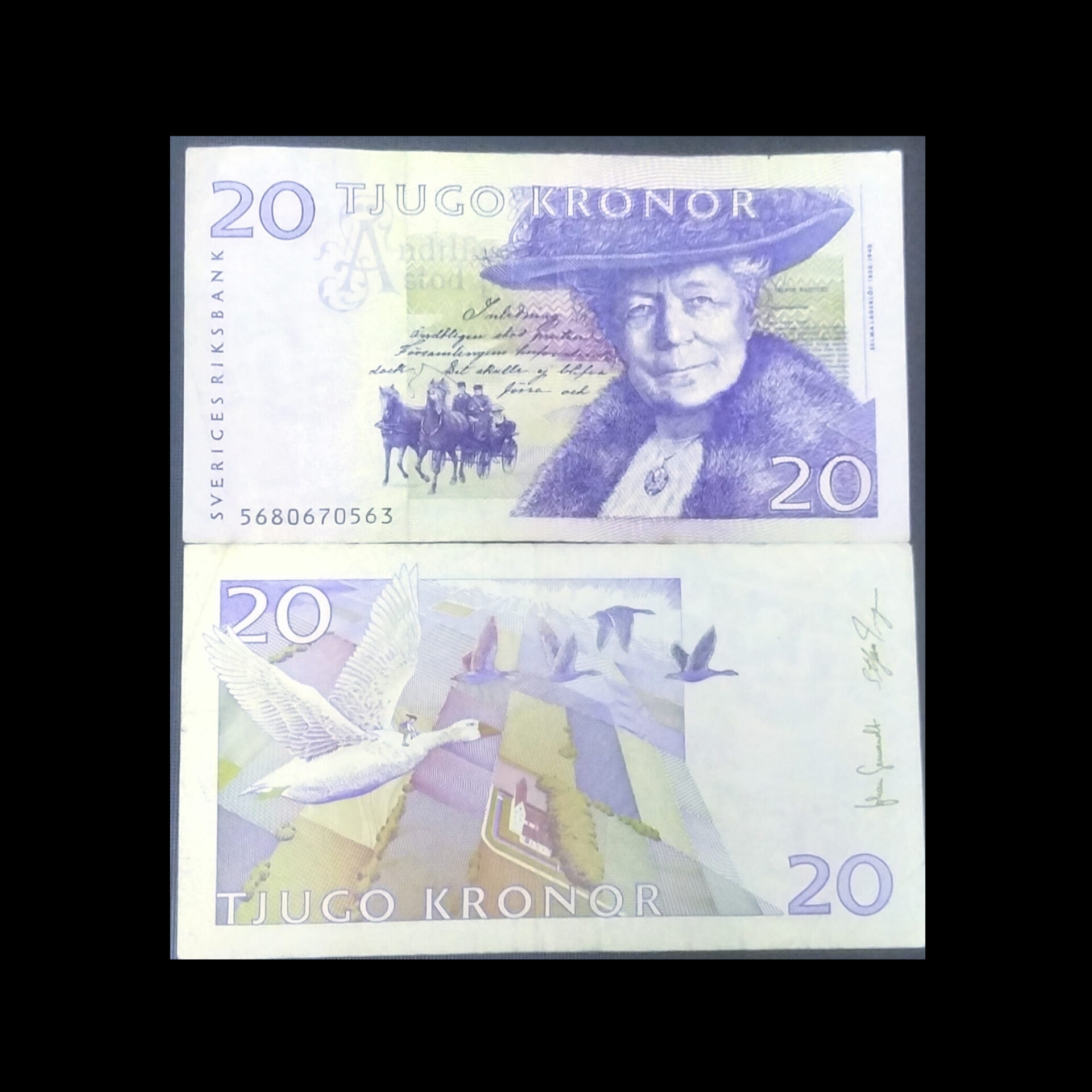 Bank Notes of Currency