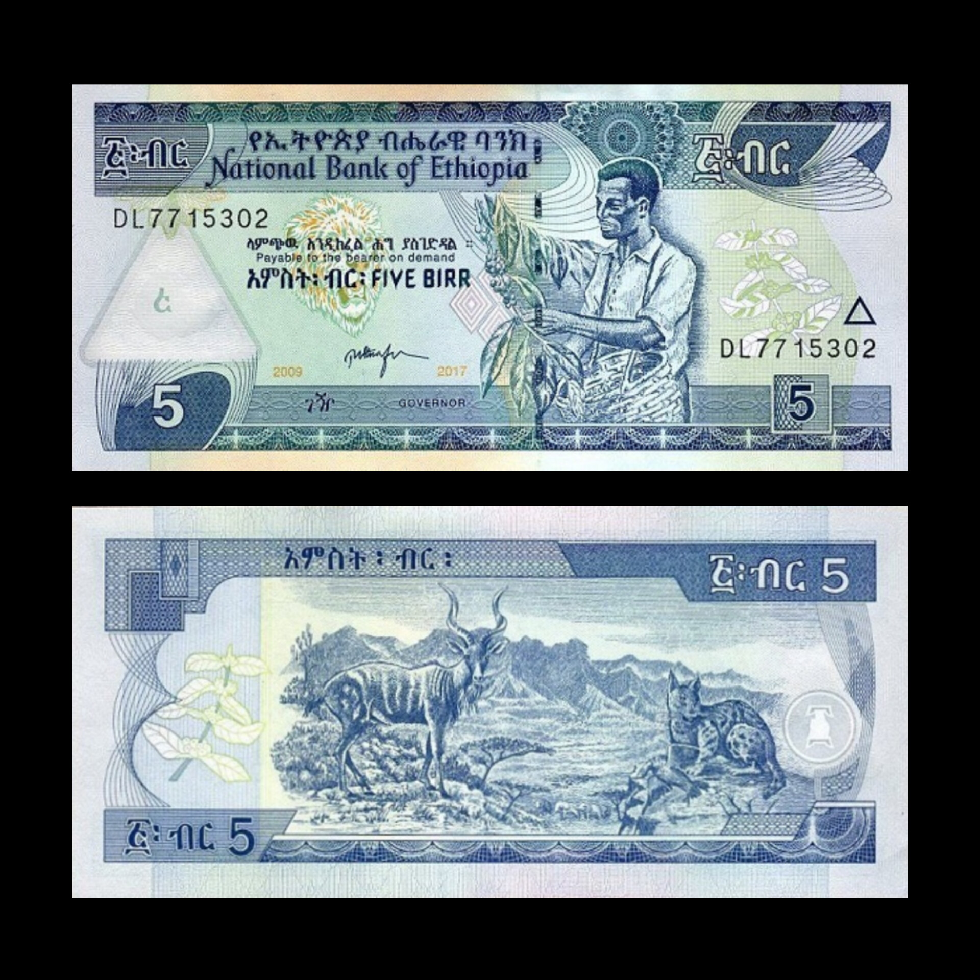 Bank Notes of Currency